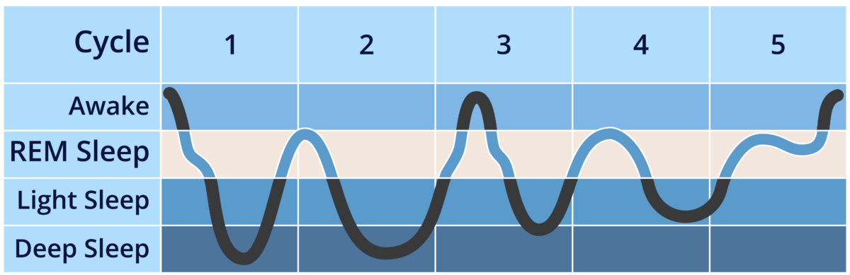 REM Sleep and the 4 Stages of Sleep