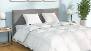 Comfort Down Duvet - Nordic Paradise - Sleep better